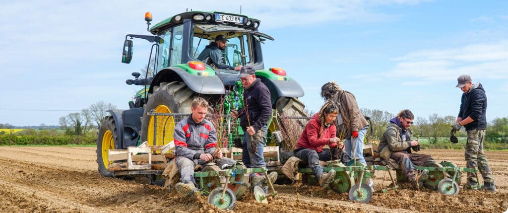 Télécharger le catalogue - Pépinière Chauviré